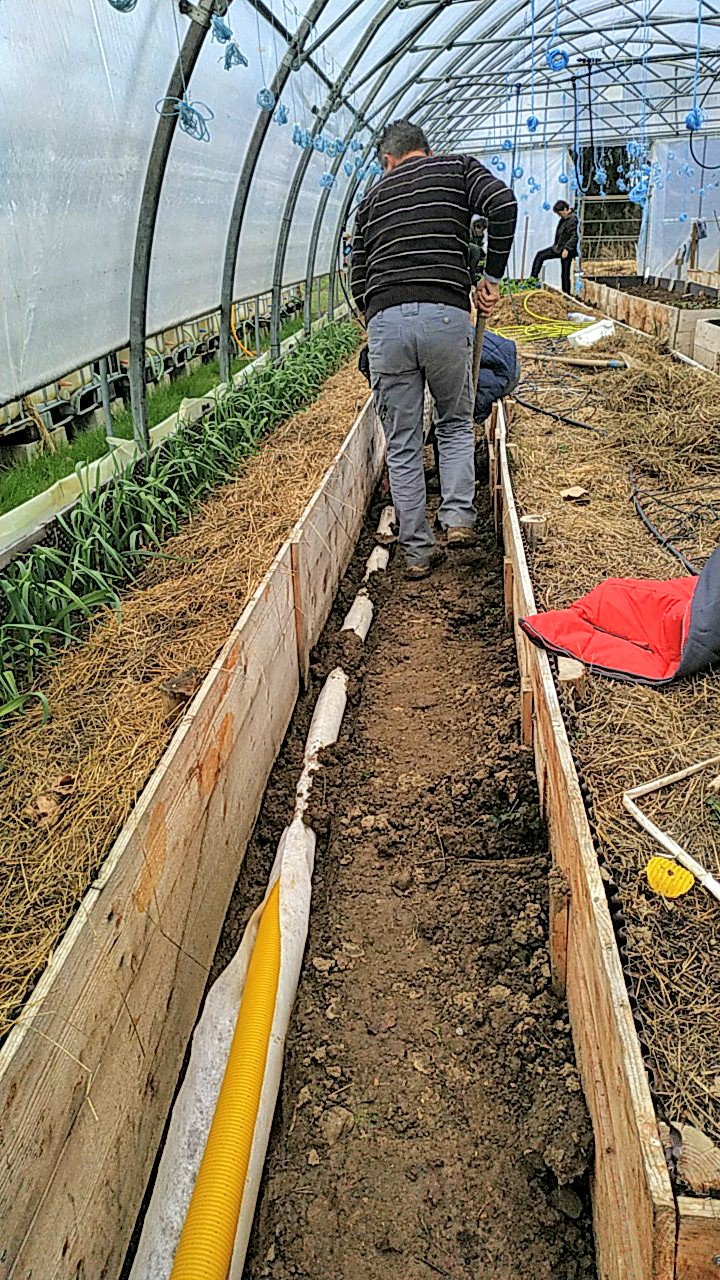 Assainissement, drainage (2021) :: Le-jardin-de-l-uche